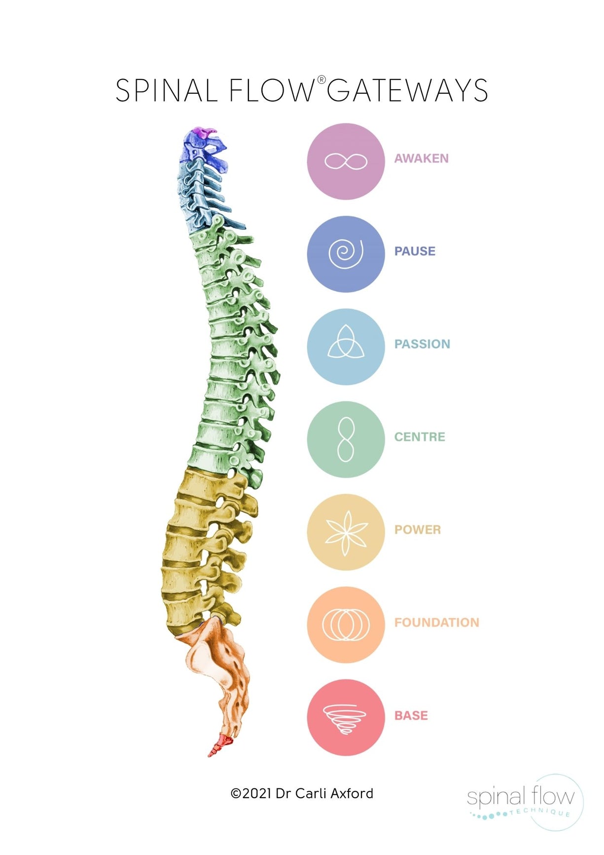 Spinal Flow Technique | SOJO – SOJO Essential Wellness
